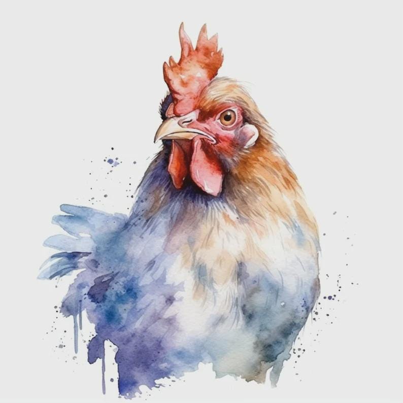 Watercolor Chicken Clipart Bundle – 20 Pngs Rooster, Hen, Coop, Farm ...