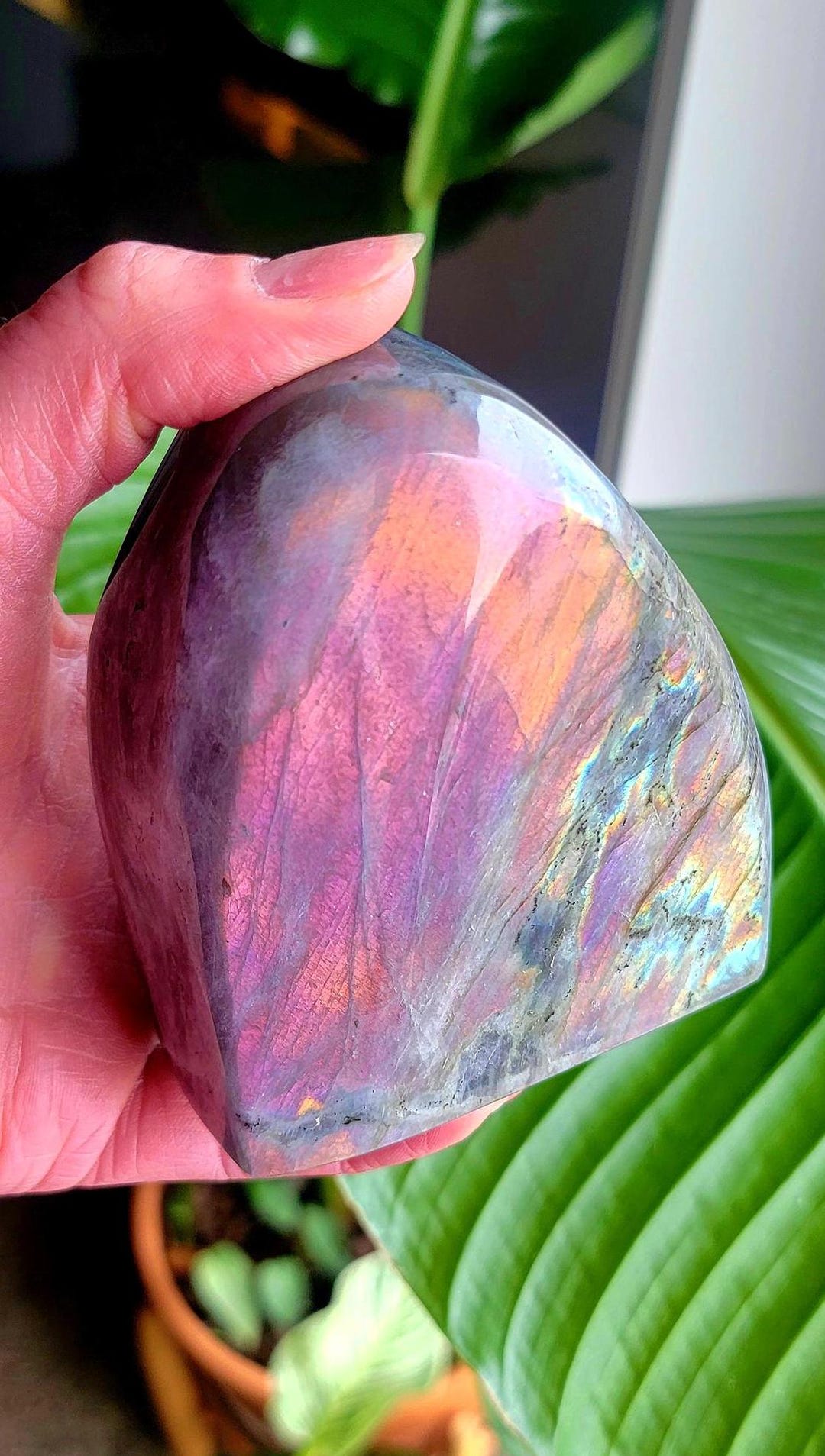 Labradorite, 1lb Pink Freeform, Flashy Labradorite Freeform, Flashy ...