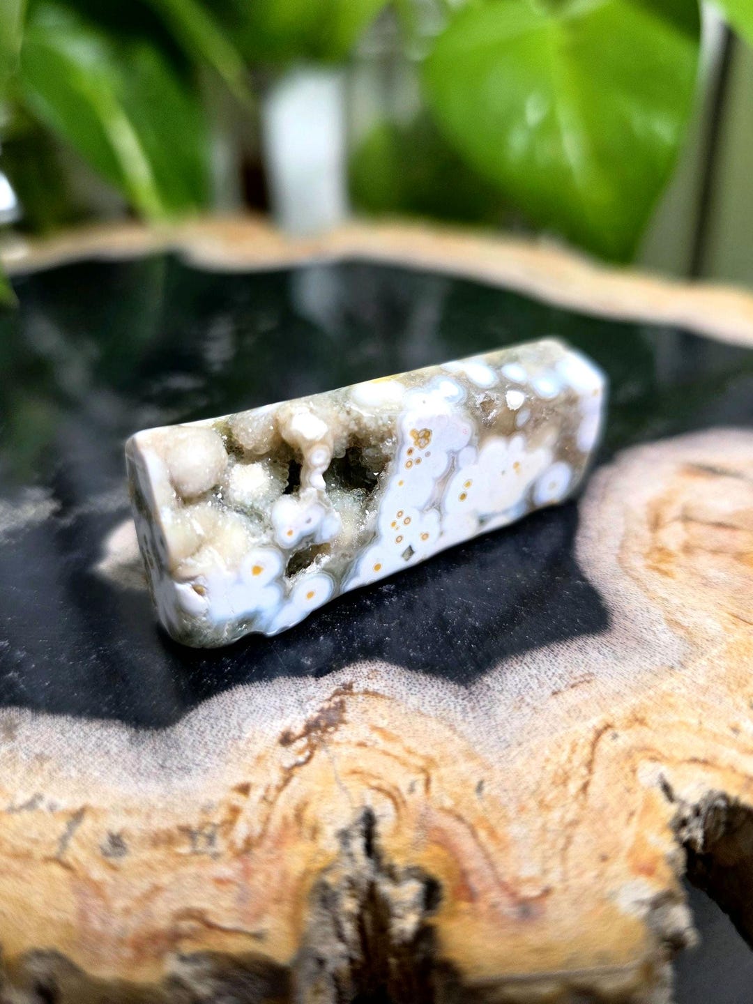 Jaspe oceánico de forma libre de octava veta, cristal orbicular druzy ...