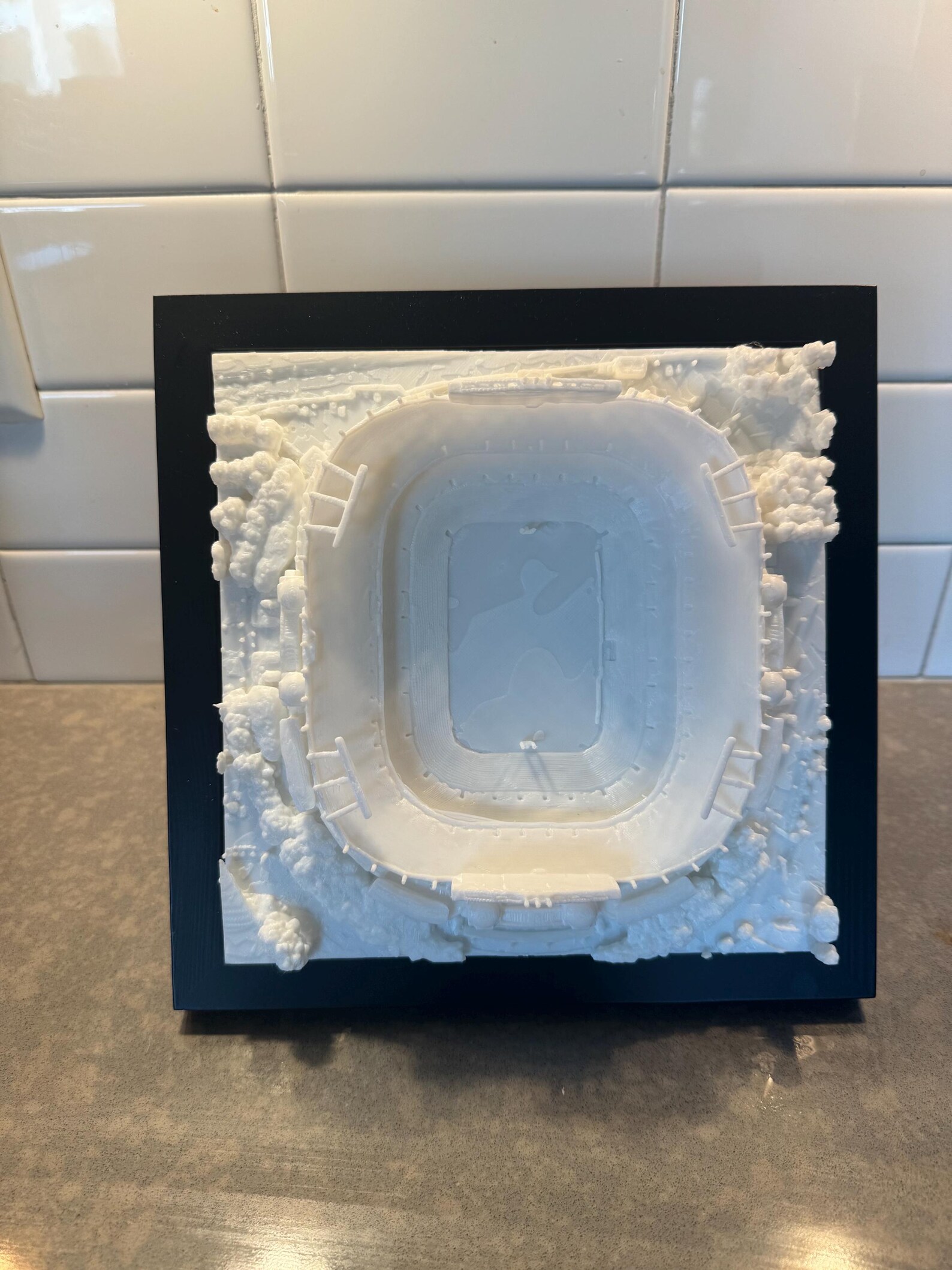 Panthers Bank of America Stadium in Wood Frame - 3D Printed Stadium ...