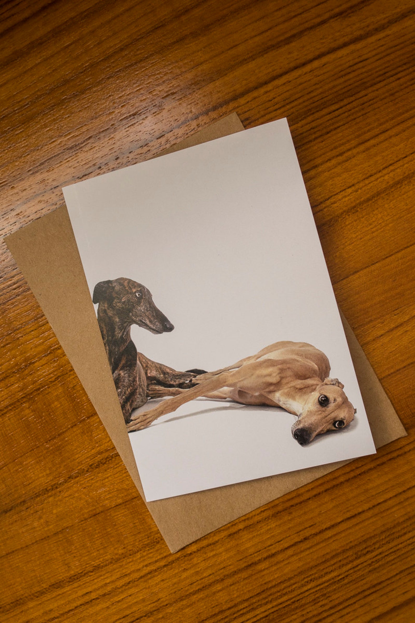 Set of 6 ASSORTED Greyhound Greeting Cards 2 - Etsy Sweden