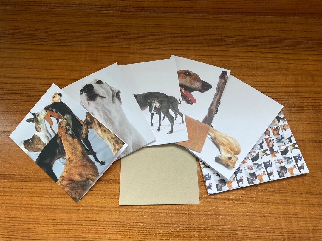 Set of 6 ASSORTED Greyhound Greeting Cards 4 - Etsy