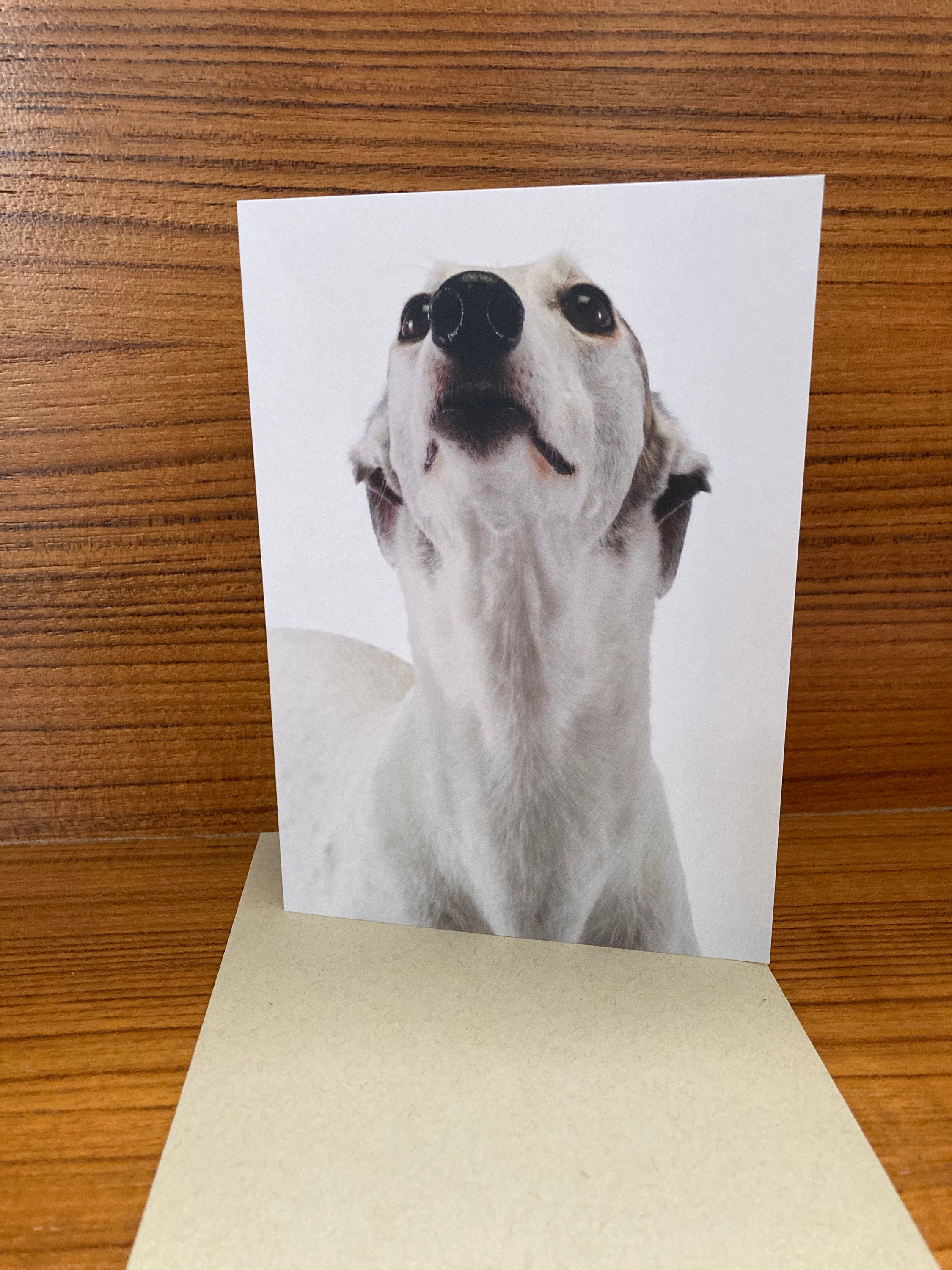Set of 6 ASSORTED Greyhound Greeting Cards #4 - Etsy