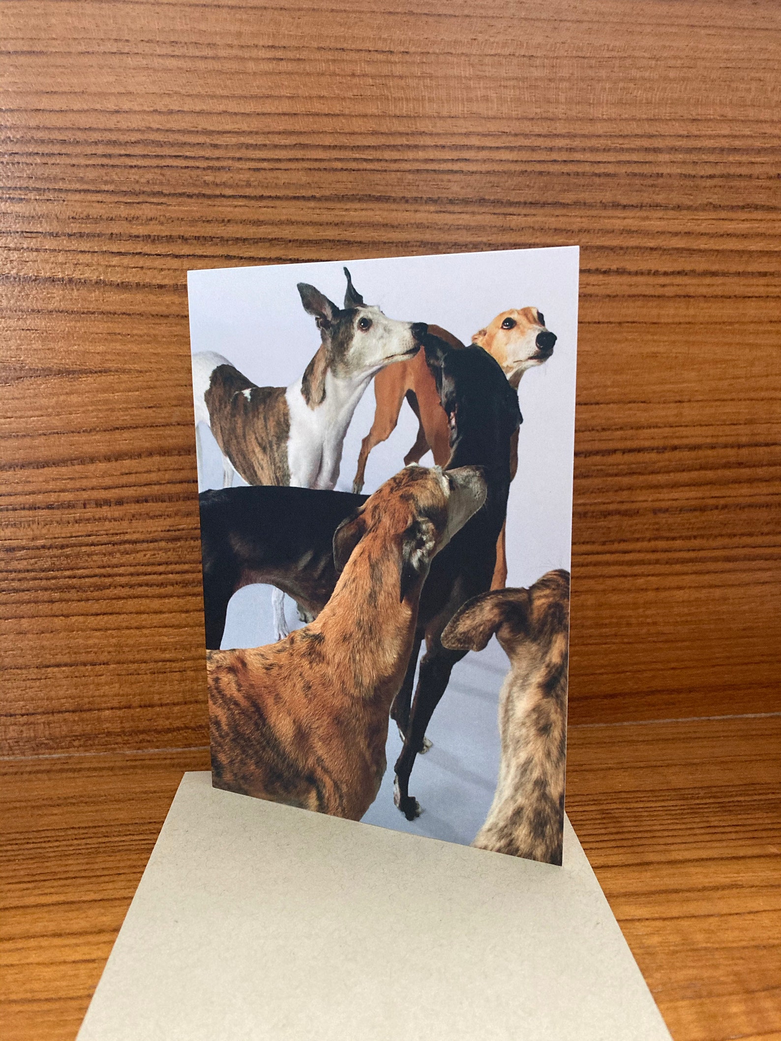 Set of 6 ASSORTED Greyhound Greeting Cards 4 - Etsy