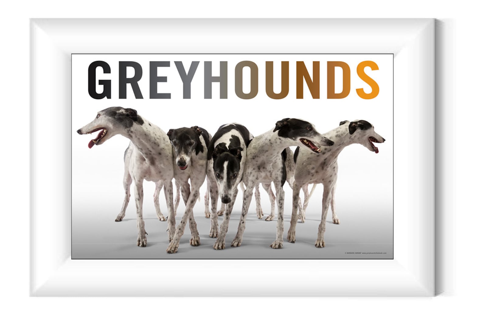 Fine Art Greyhound Poster - Etsy