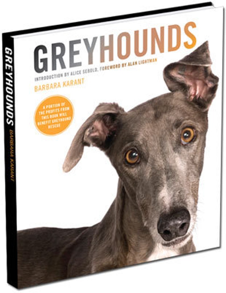 GREYHOUNDS - Etsy