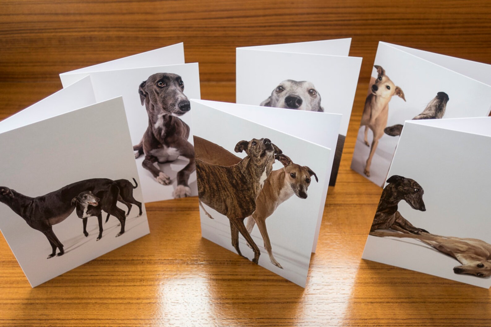 Set of 6 ASSORTED Greyhound Greeting Cards 2 - Etsy Sweden
