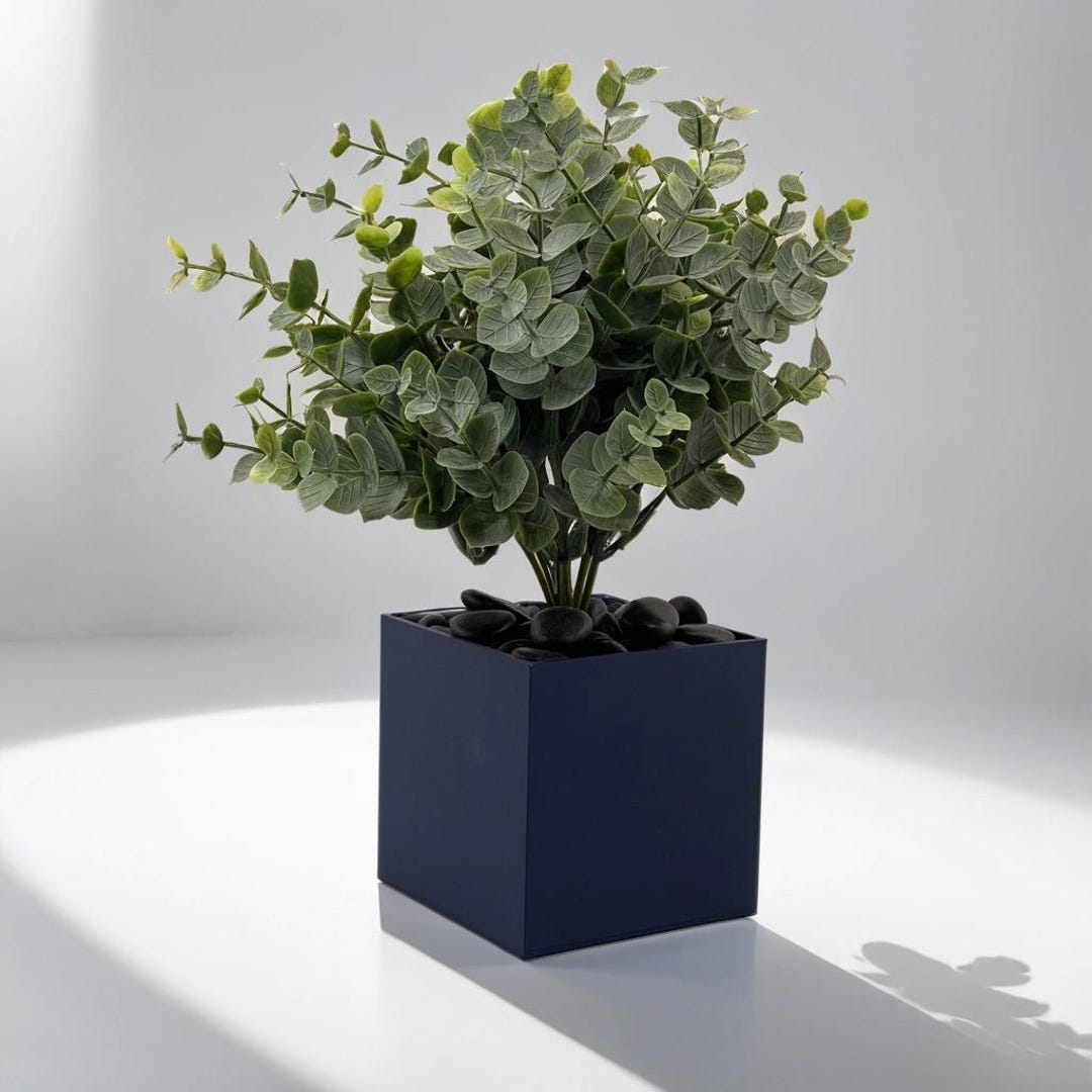 Box Planter | Box Plant Pot | Box Indoor Planter | Box Succulent Holder ...