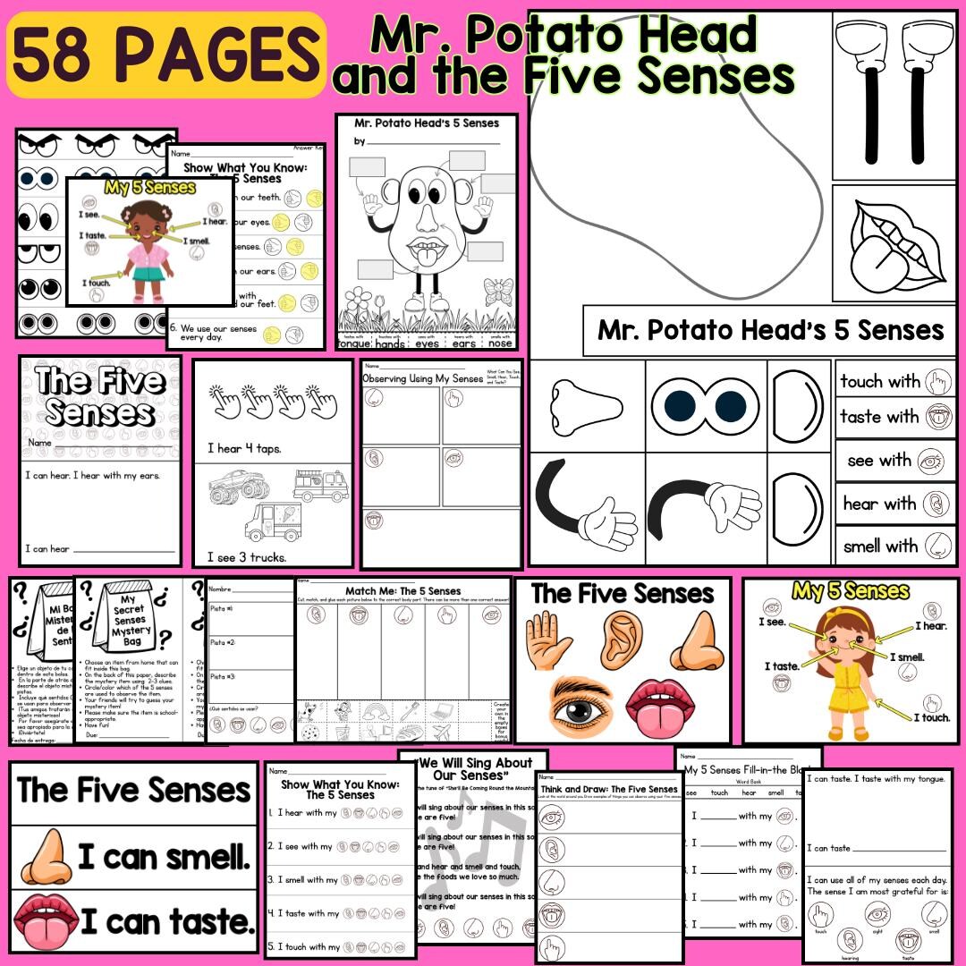 Mr. Potato Head's Five Senses Big Pack - Etsy