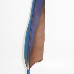 Scarlet Macaw Wing Feather Quill Pen With Triquetra and Sacred Spiral ...