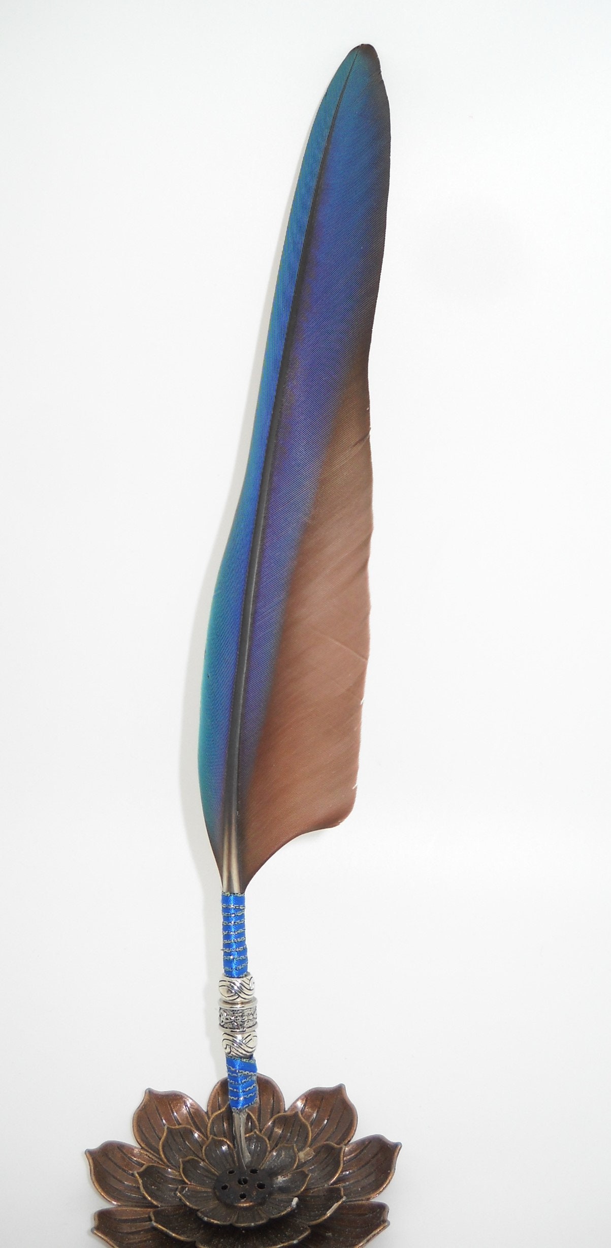 Scarlet Macaw Wing Feather Quill Pen With Triquetra and Sacred Spiral ...