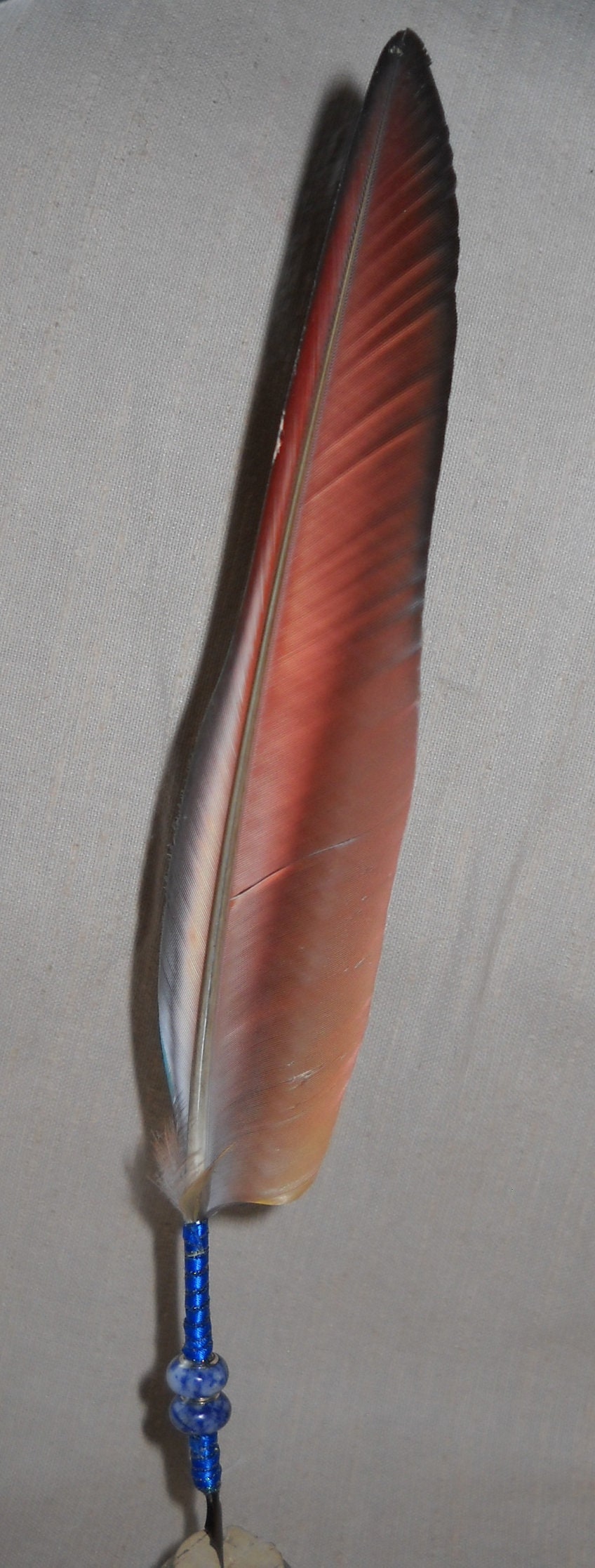 Scarlet Macaw Wing Feather Quill Pen With Sodalite Beads Spellwriting ...