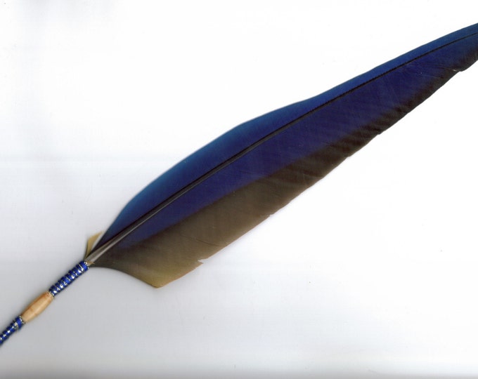 Scarlet Macaw Wing Feather Quill Pen Spellwriting Set - Etsy