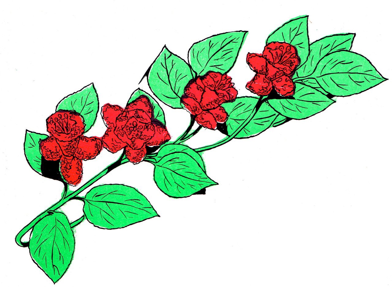 The Book of Boucle Crocheted Flowers Digital Download - Etsy