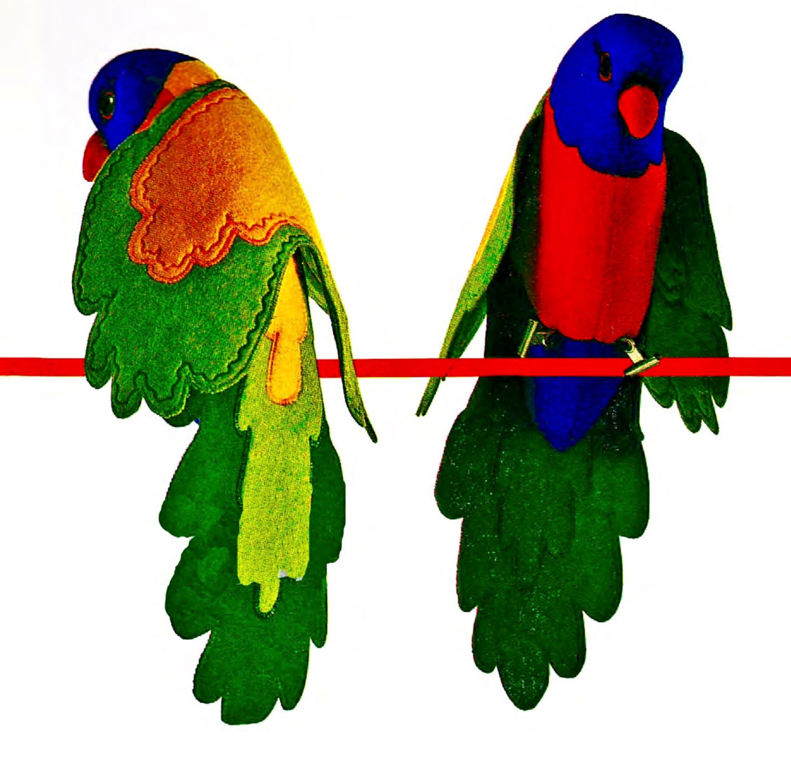 Parrot: Digital Sewing Pattern. Colorful Bird Pattern. Australian ...