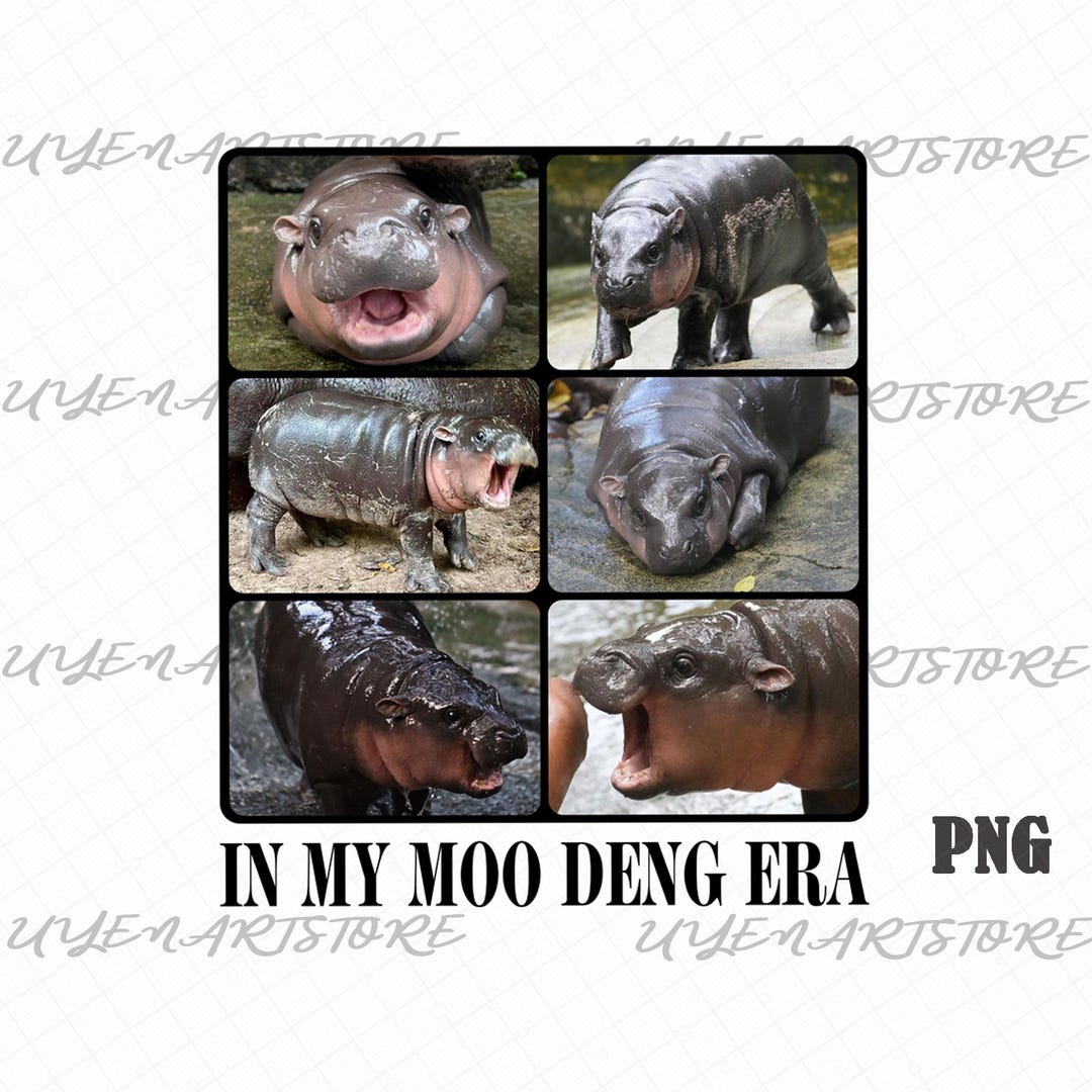In My Moo Deng Era Png, Moo Deng Png, Funny Hippo Png, Baby Hippo Moo ...