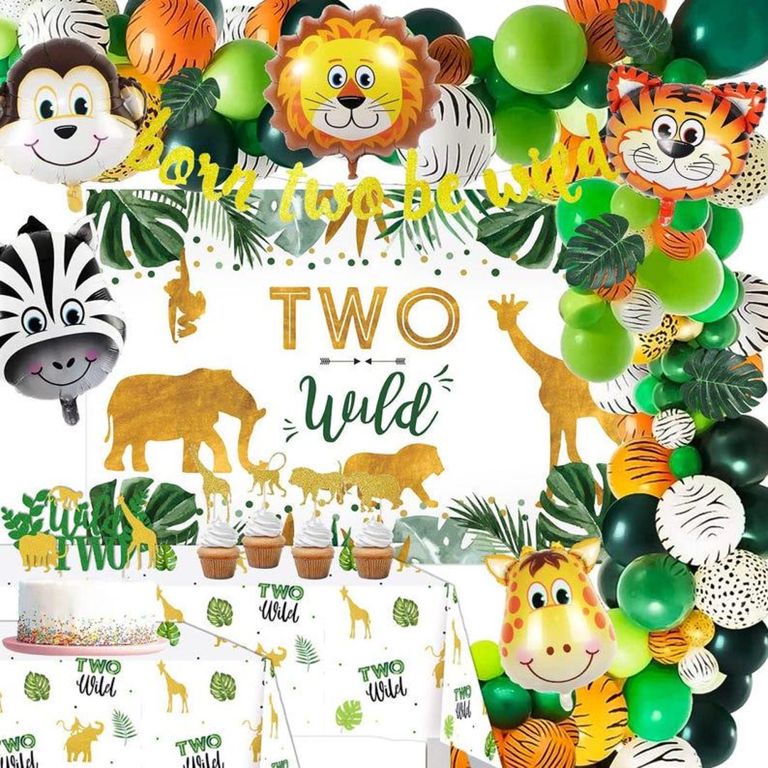 Two Wild Birthday Decorations - Safari Jungle Theme 2nd Birthday Party ...