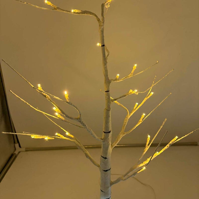 White Birch Tree 22 - Etsy