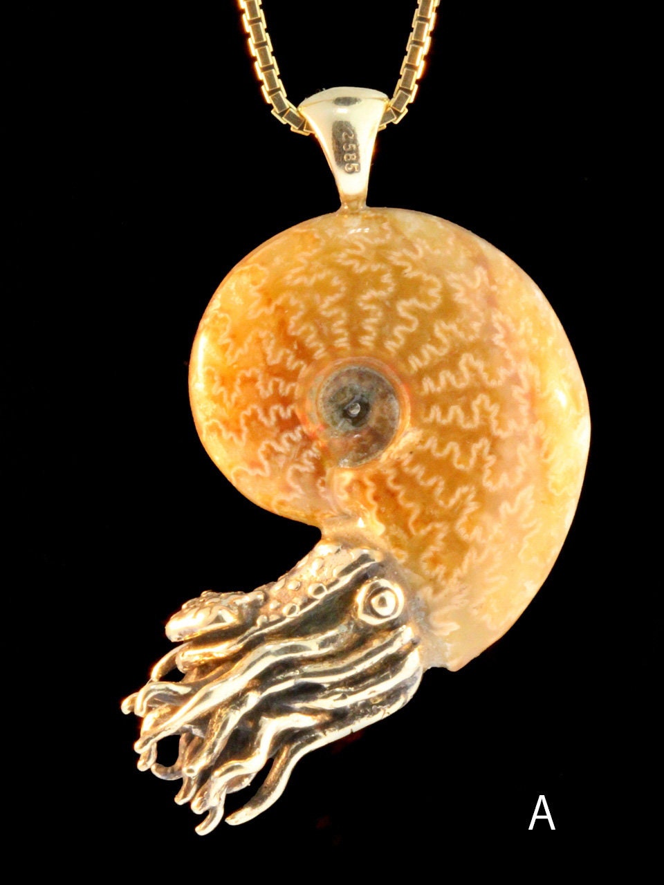 Gold Fossilized Ammonite Nautilus Necklace Chrome Diopside Ammonite ...