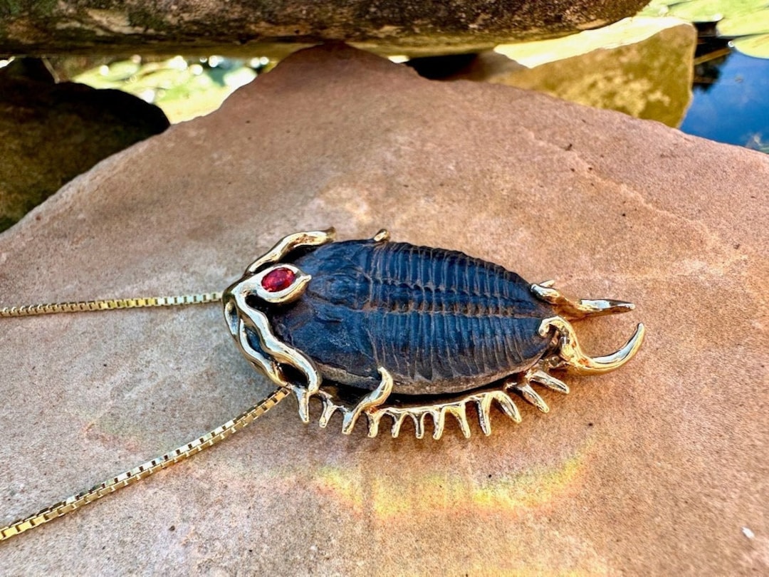 14k Gold Trilobite Pendant Set With Mexican Fire Opal Fossil Necklace ...