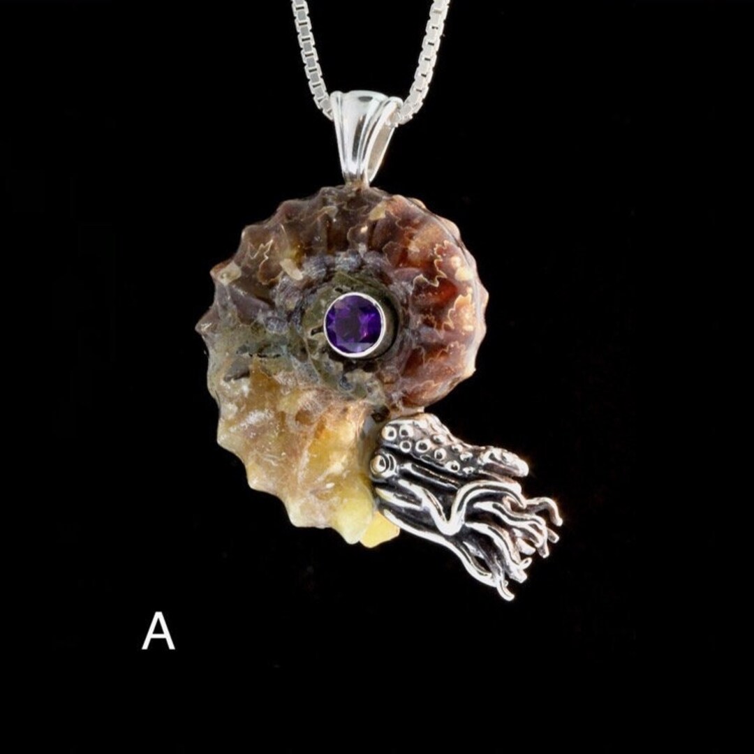 Spiky Fossilized Ammonite Necklace W/ Gemstone Nautilus - Etsy