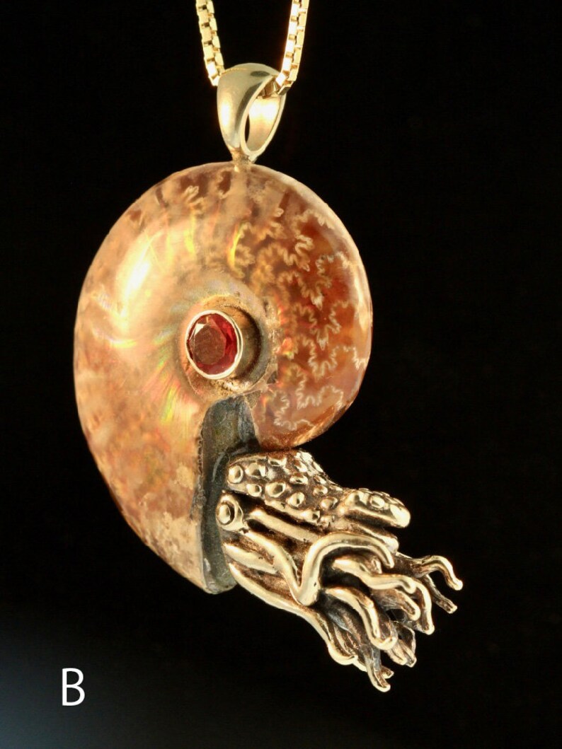 Gold Fossilized Ammonite Nautilus Necklace Chrome Diopside | Etsy