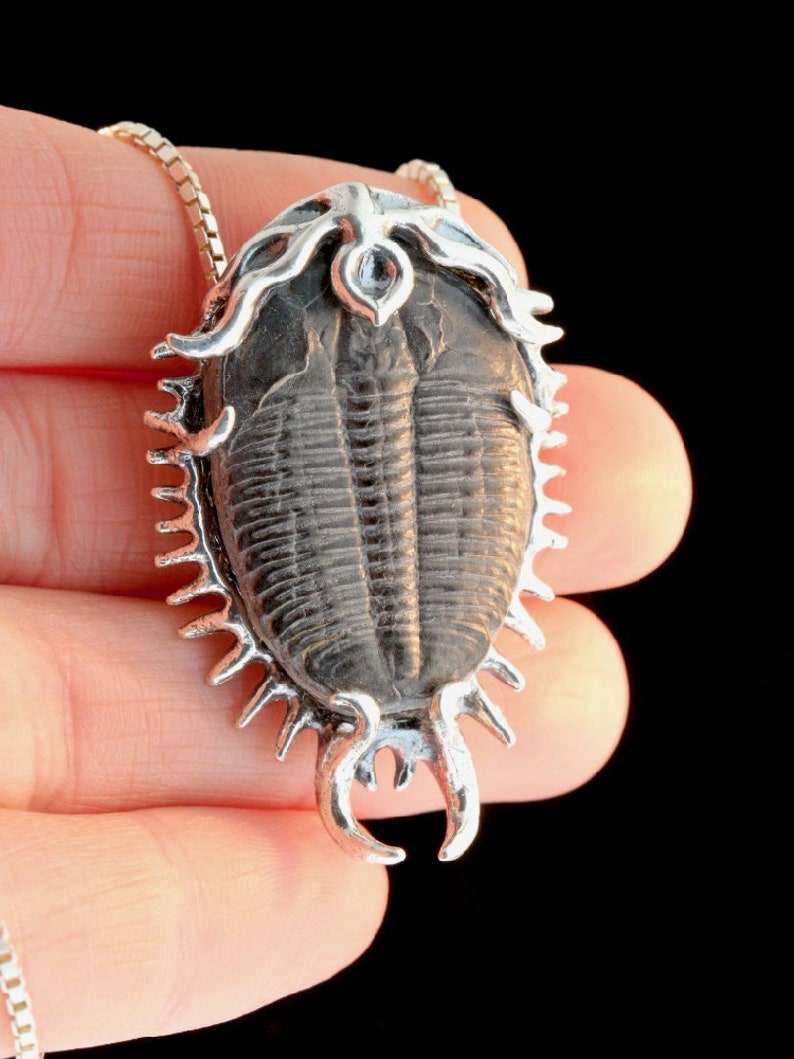 Colossal Spiked Trilobite Pendant - Sterling Silver - Unique Gift - Etsy