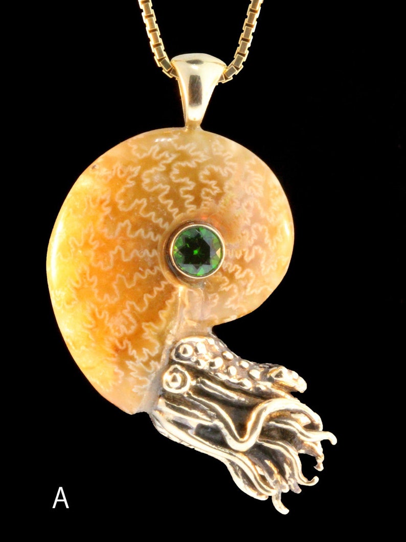 Gold Fossilized Ammonite Nautilus Necklace Chrome Diopside Ammonite ...