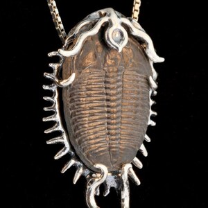 Colossal Spiked Trilobite Pendant - Sterling Silver - Unique Gift - Etsy