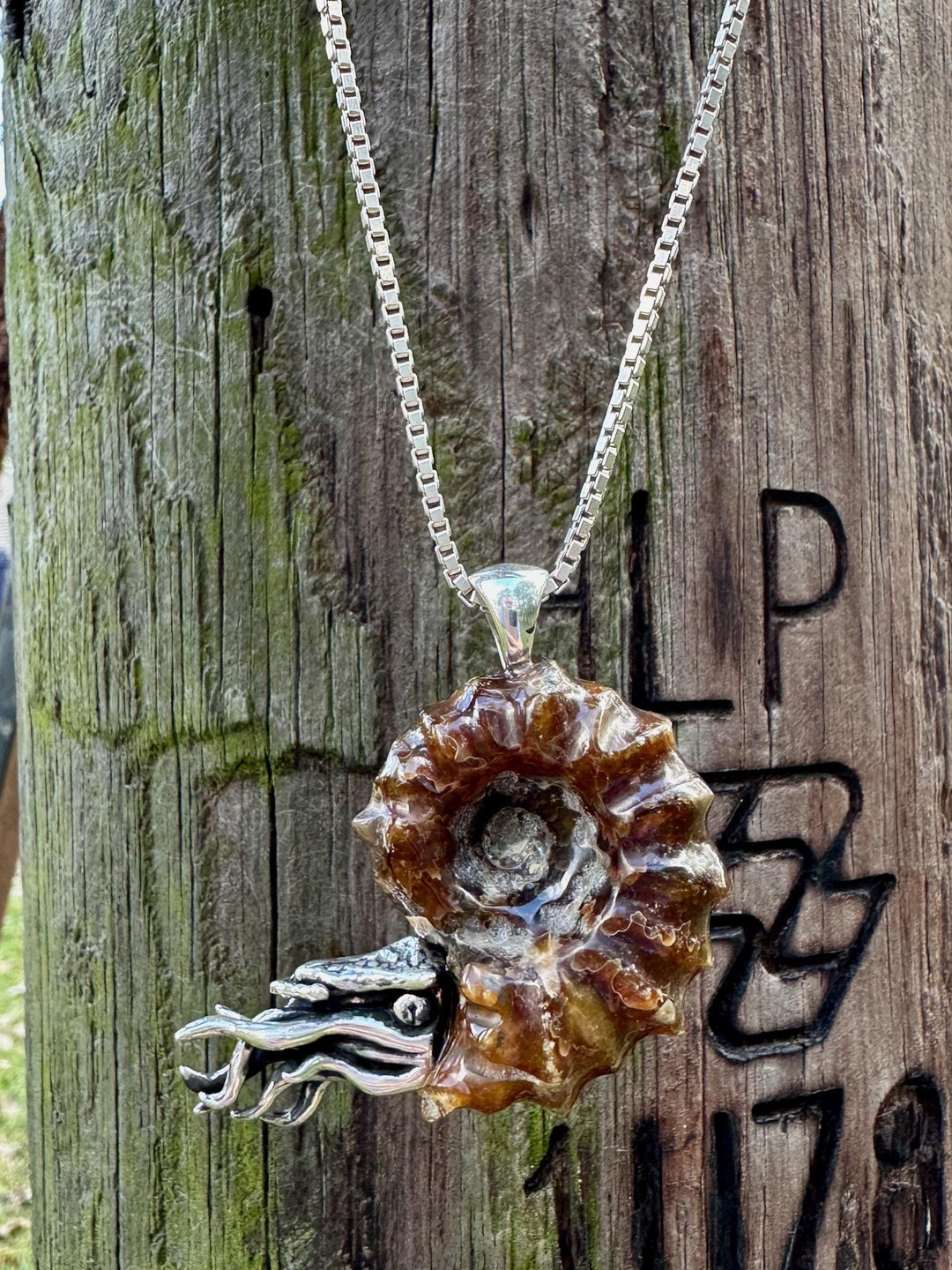 Spiky Fossilized Ammonite Nautilus Pendant - Sterling Silver - Gift for ...