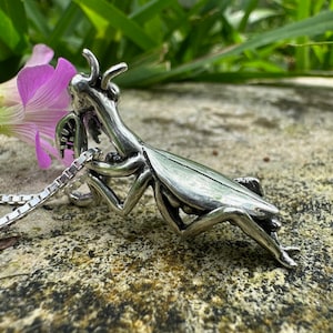 Praying Mantis Necklace Praying Mantis Jewelry Insect Jewelry Bug ...