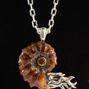Spiky Fossilized Ammonite Necklace W/ Gemstone Nautilus - Etsy
