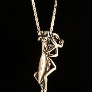 Praying Mantis Necklace Praying Mantis Jewelry Insect Jewelry Bug ...