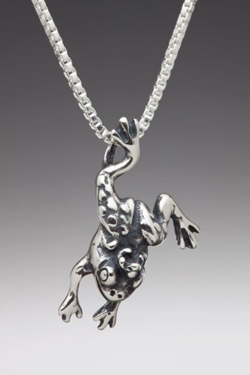 Frog Necklace Enchanted Frog Charm Frog Prince Pendant | Etsy