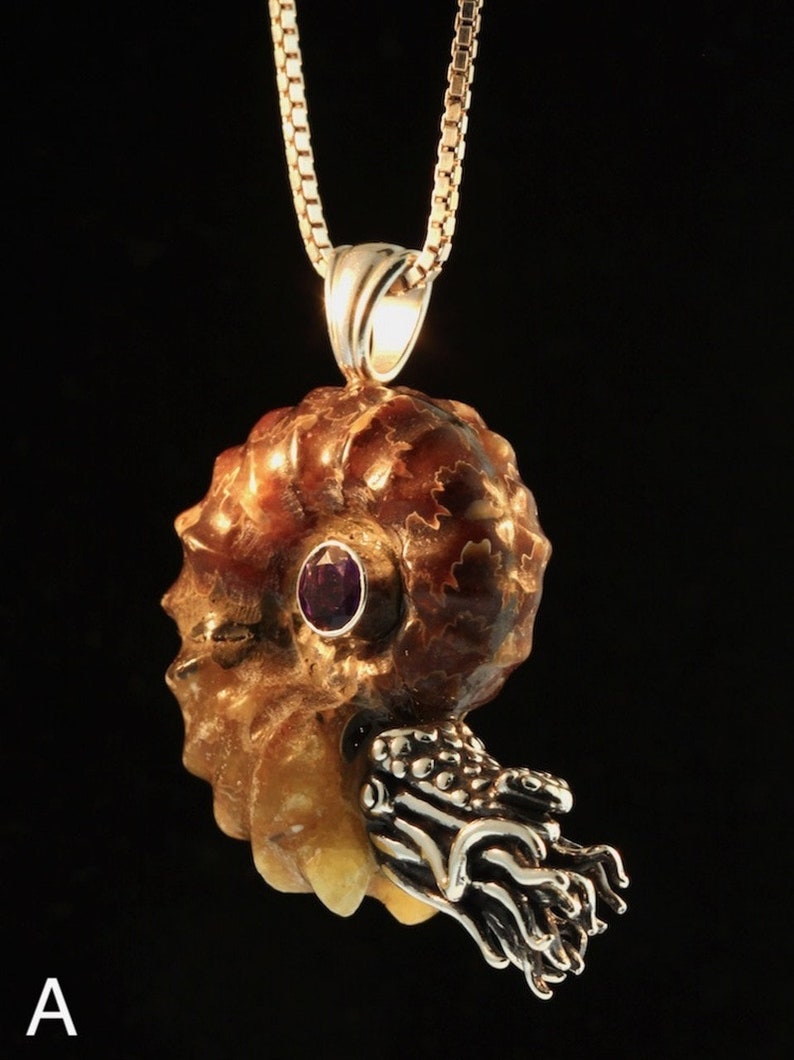 Spiky Fossilized Ammonite Nautilus Necklace With Gemstone - Sterling ...