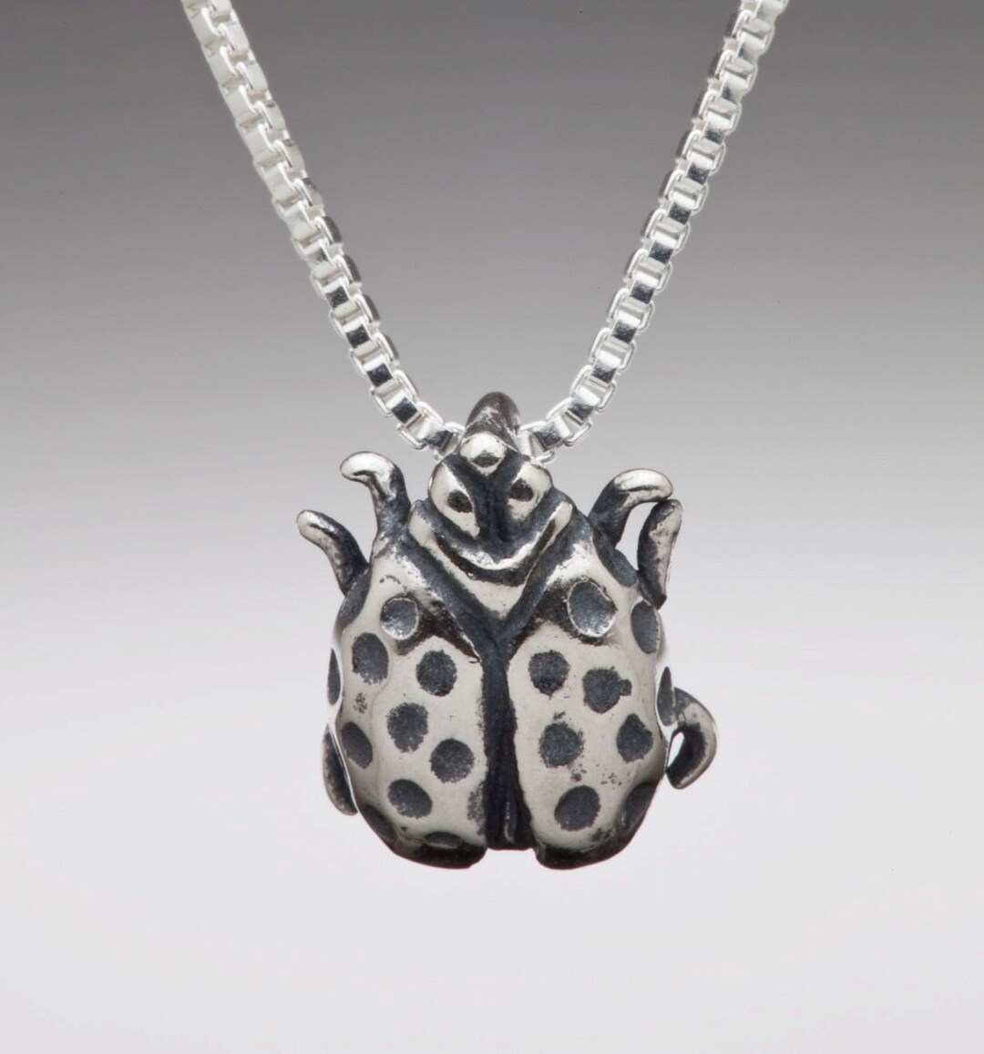 Lady Bug Necklace - Ladybug Charm - Insect Charm - Silver Ladybug - Bug ...