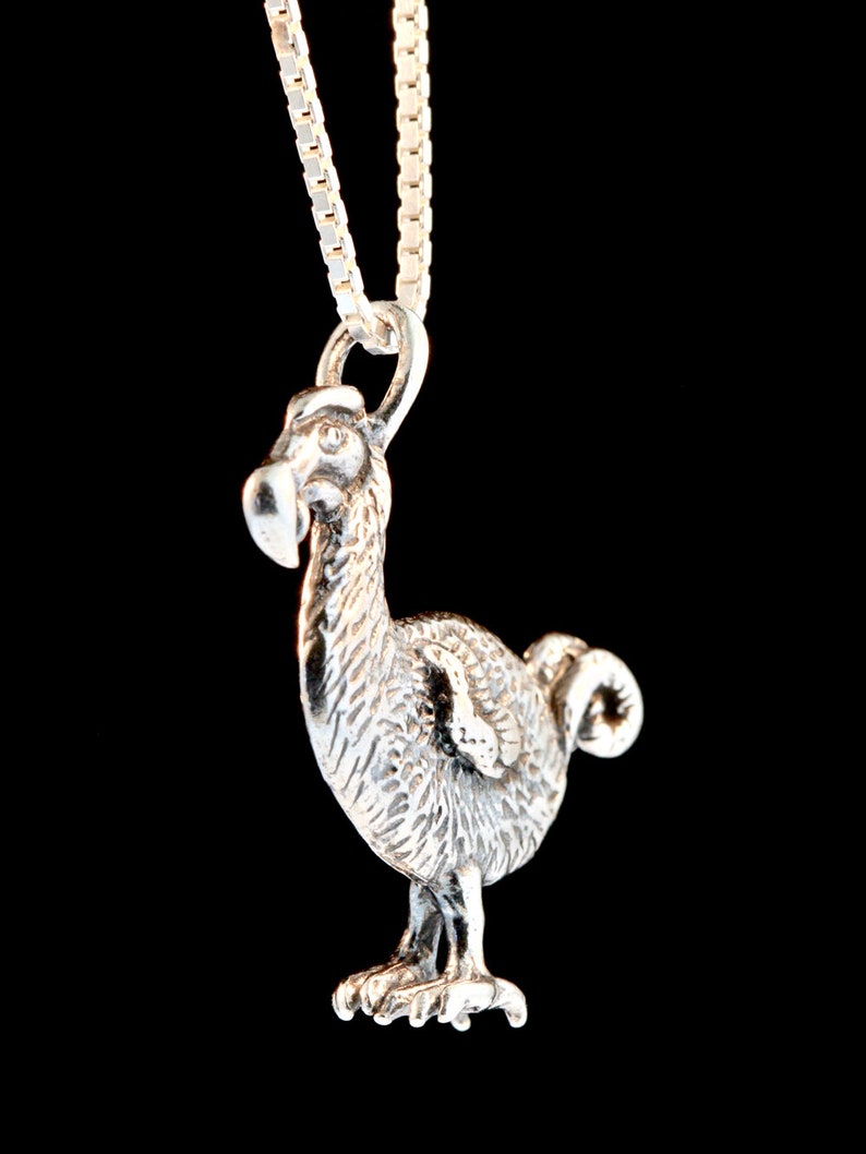 Dodo Bird Necklace Silver Dodo Bird Jewelry Alice in - Etsy