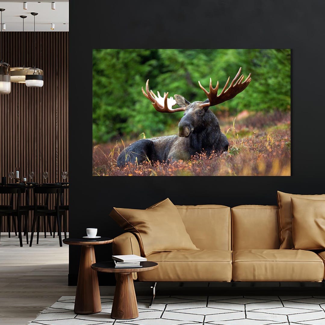Moose Canvas Print: Forest Animal Art, Large Horns, Cotton Canvas - Etsy