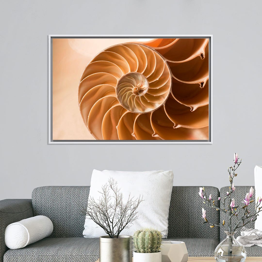 Nautilus Shell Wall Art, Golden Ratio Spiral Print, Nature Macro ...