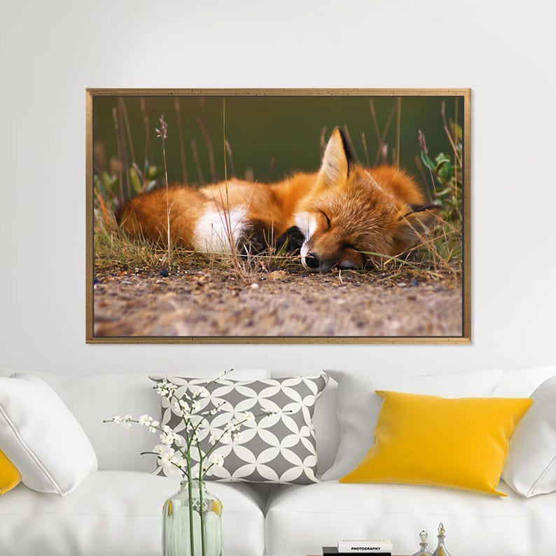 Sleeping Fox Canvas Art: Animal Nursery Wall Decor - Etsy UK