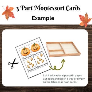 Pumpkin Jack Unit Study - Etsy