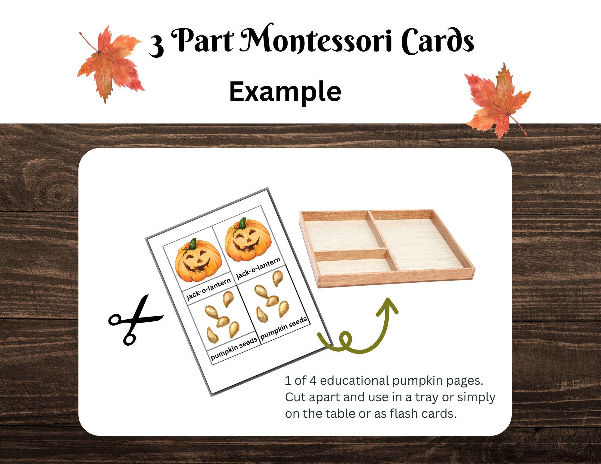 Pumpkin Jack Unit Study - Etsy