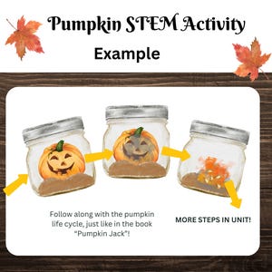 Pumpkin Jack Unit Study - Etsy