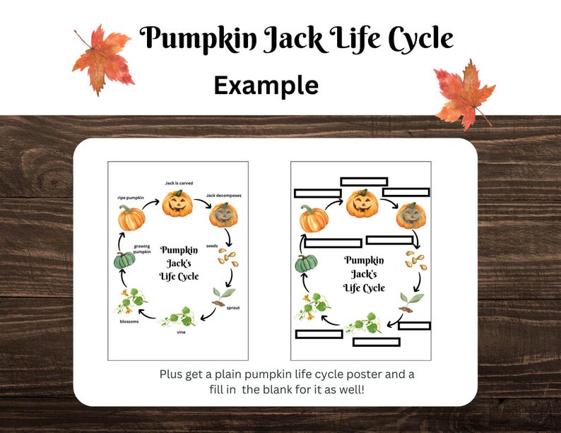 Pumpkin Jack Unit Study - Etsy