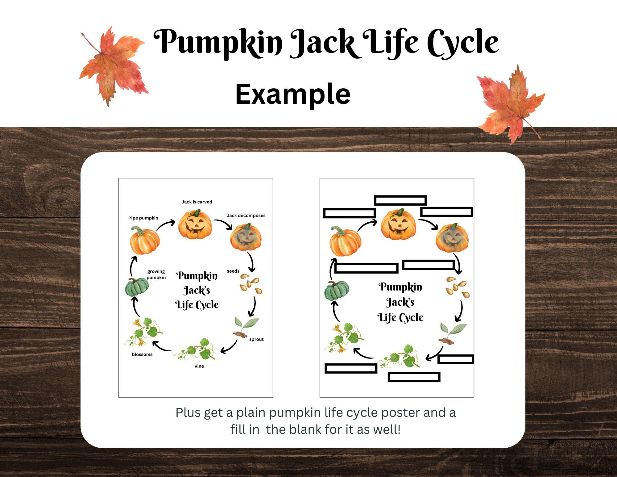 Pumpkin Jack Unit Study - Etsy