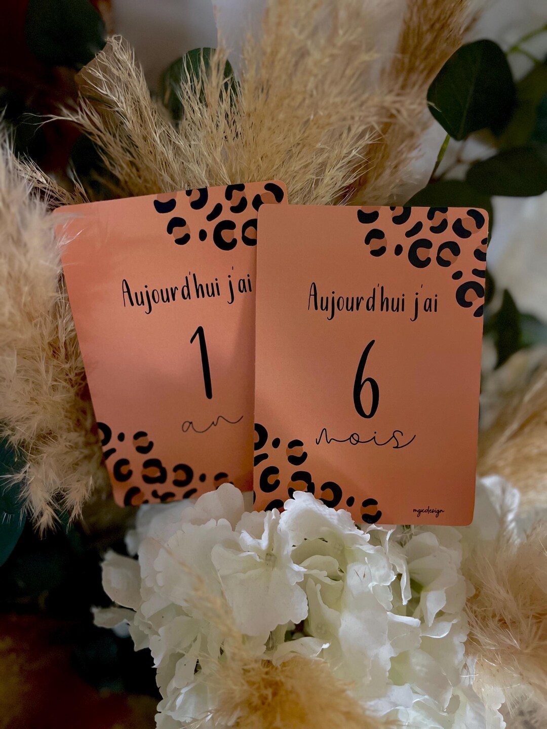 Leopard Stage Maps - Etsy