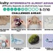 Snail Plush Animal Sewing Pattern .pdf Tutorial Kitty Puppy Shell ...