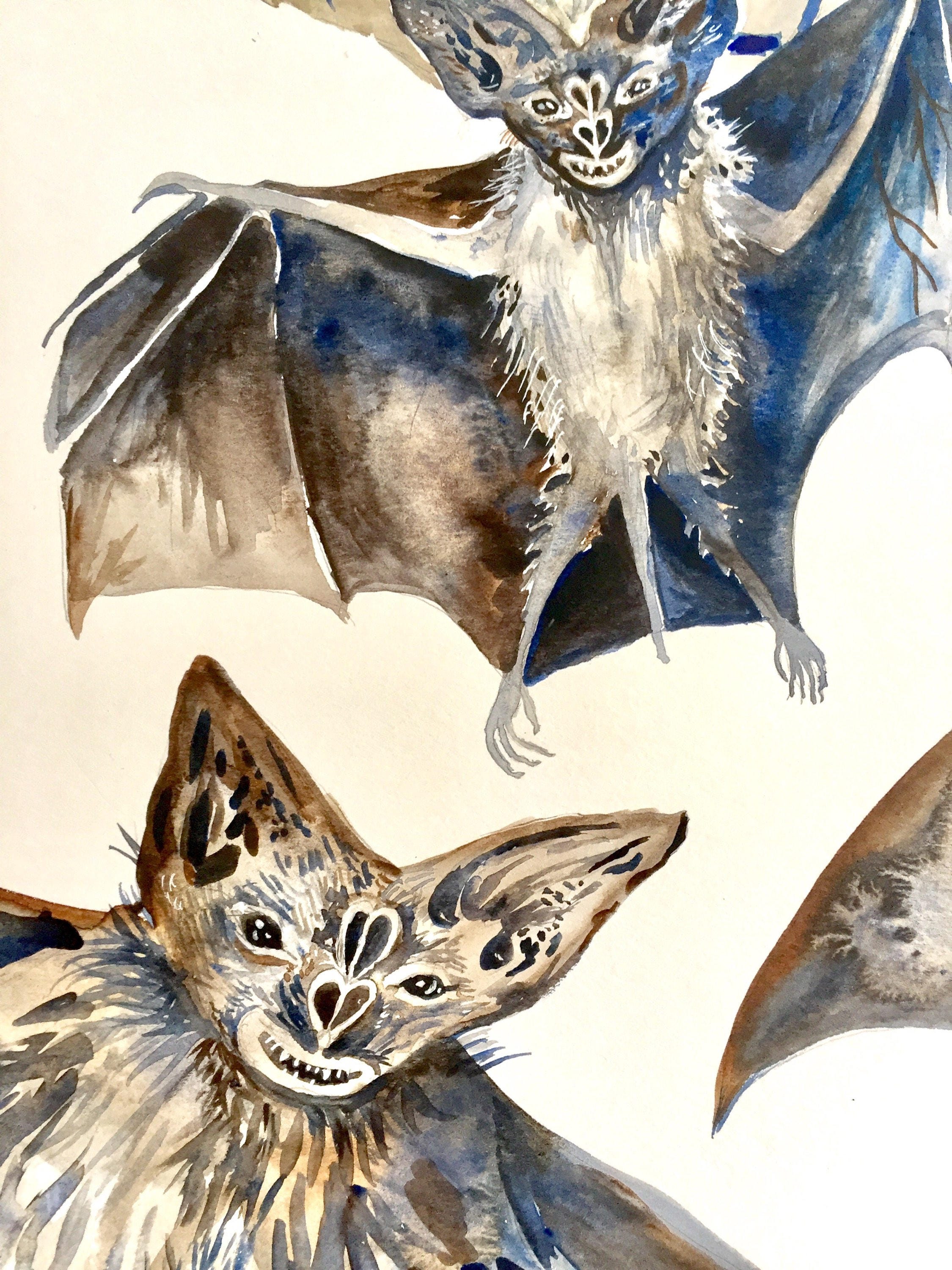 Bats in Flight in Watercolor, Watercolor Painting, Original Art ...