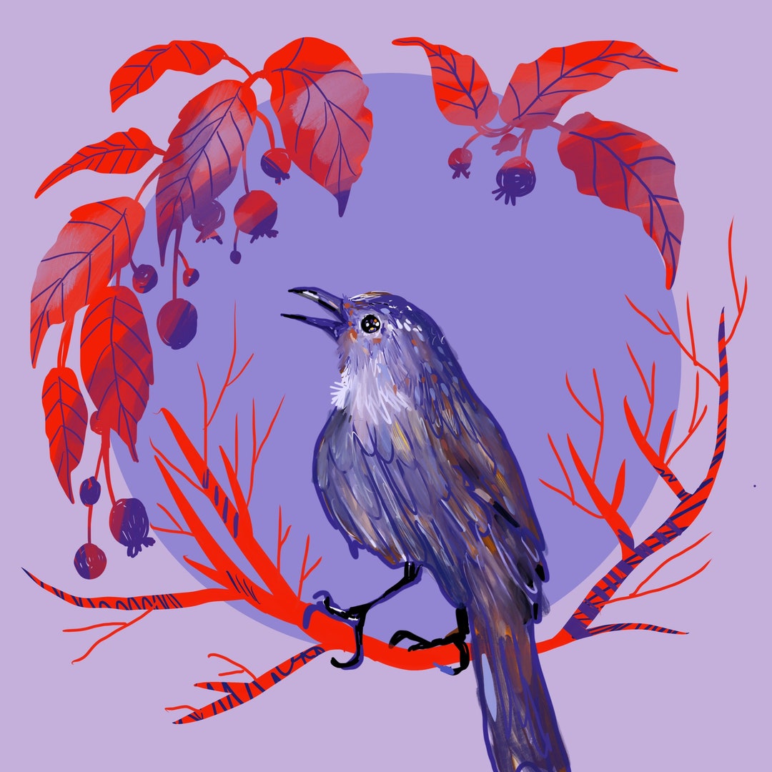 Catbird Art, Bird Decor, Print 8x8 - Etsy
