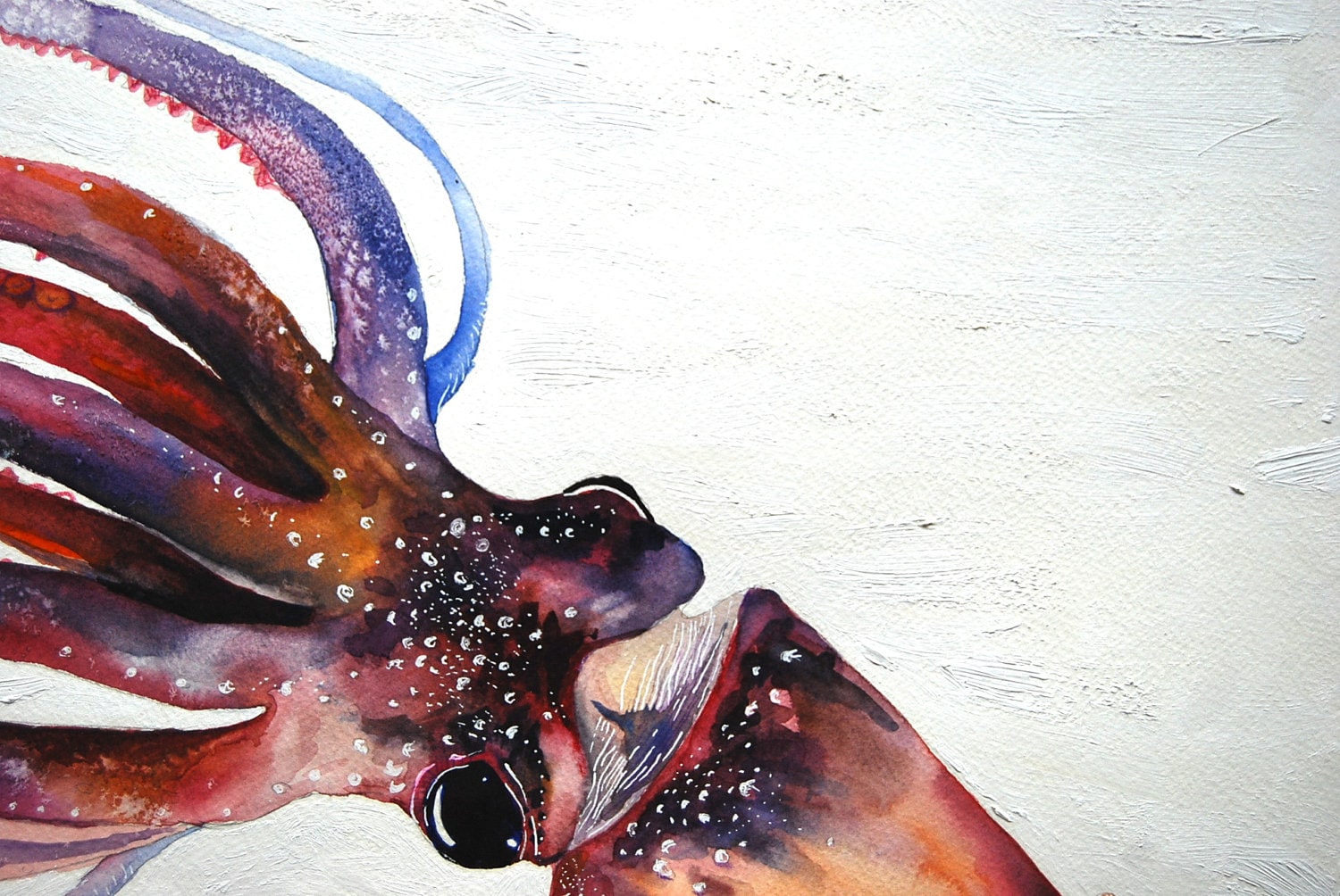 A Squid Giclee Print 8x10 - Etsy